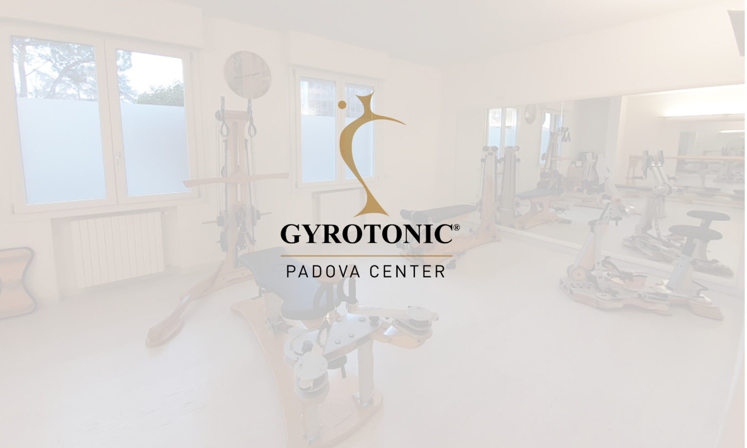 GYROTONIC® – Gyrotonic® Padova Center